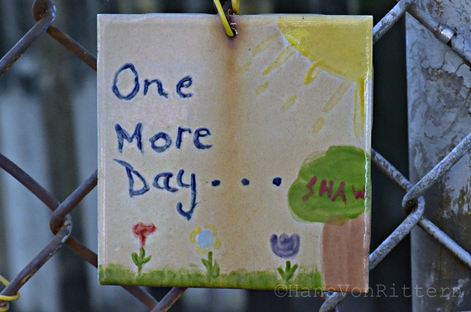 Photo of the day: JUST ONE MORE DAY . . . | NEW YORK CITY - IN THE WIT ...